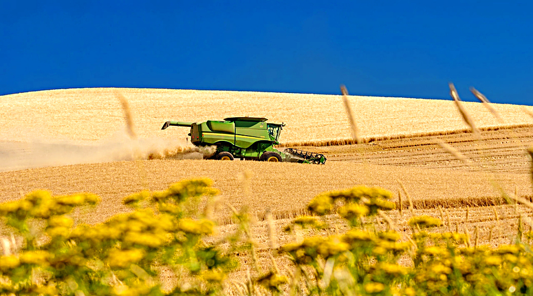 Mark Cook - Harvesting Profits - 7 Circles